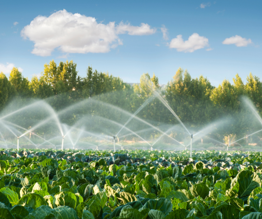 Irrigation Management and Farm Technology - AgSquared